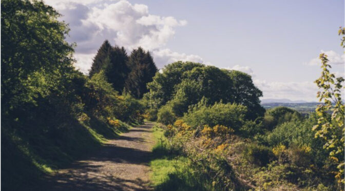 Tannahill Walkway | WECWC